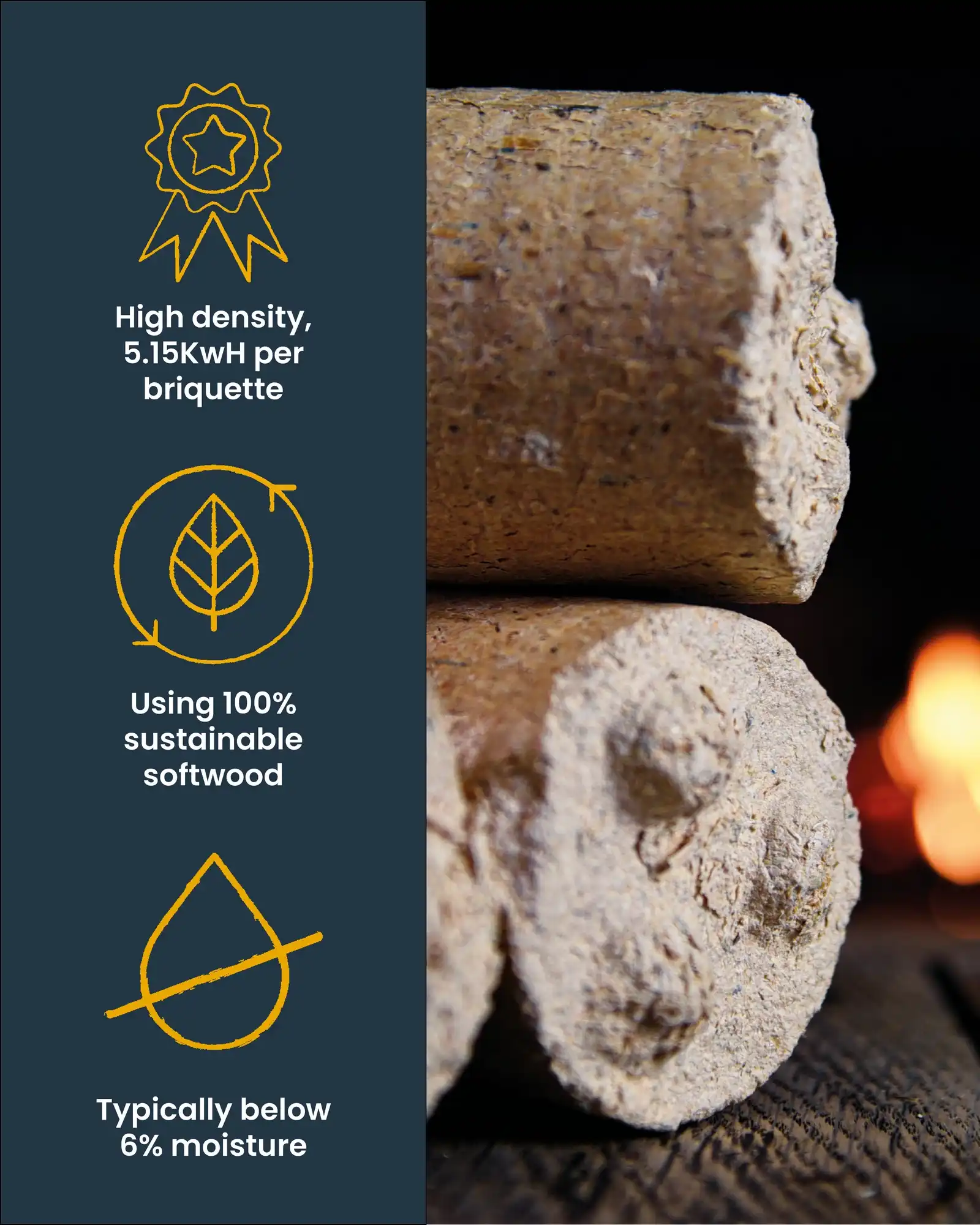 XLBH-Infographic.2
