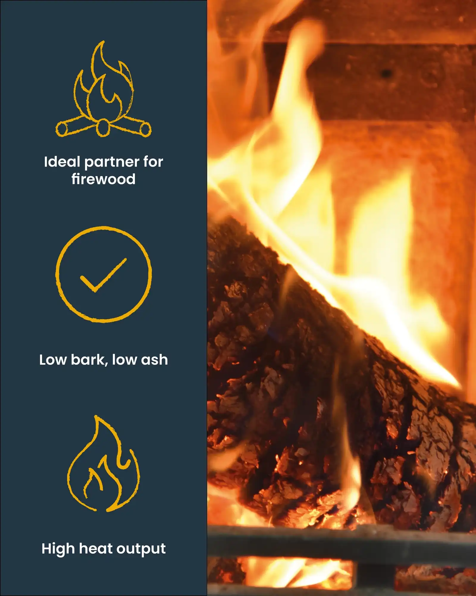 XLBH-Infographic.1